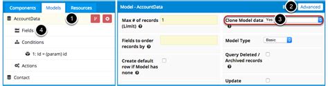 Create A Custom Clone Account Page Skuid NLX V Documentation