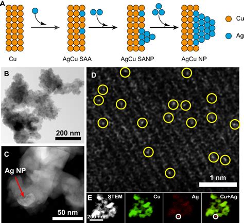 Scanning Transmission Electron Microscopy Imaging Of Catalysts A Scheme Download Scientific