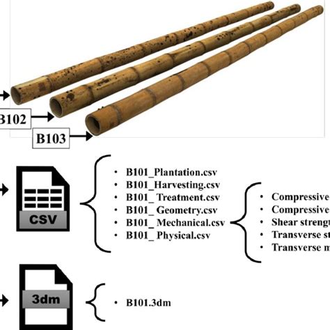 Schematic Representation Of Digital Data Obtained Through The Intensive Download Scientific