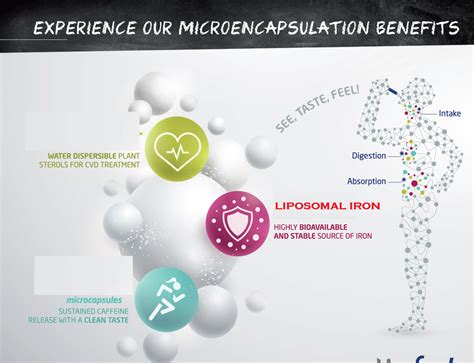 Liposomal Iron Liposomal Ferric Pyrophosphate Products At Price Inr In Sao Paulo