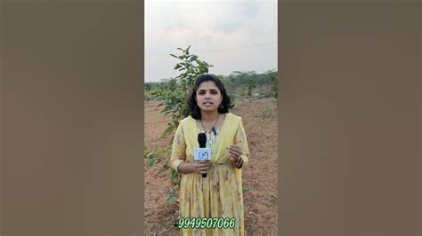 offers trending ytshorts shortvideos youtube