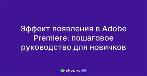Эффект появления в Adobe Premiere пошаговое руководство для новичков