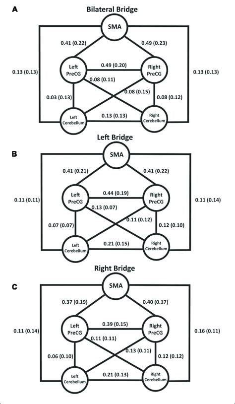 Schematic Of The Proposed Sensorimotor Network During The Bridging Download Scientific