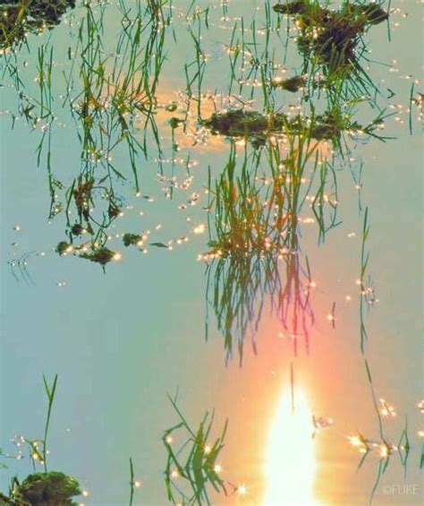Pin by p i a on c o t t a g e c o r e ♡ | Spring aesthetic, Photography ...