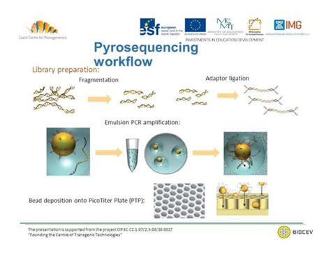 Microbial Genomics And Surveillance An Overview Snapshot For A Laymans Understanding Pdf
