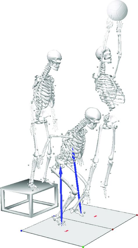 Drop Vertical Jump Example Participant Performing The Drop Vertical Download Scientific