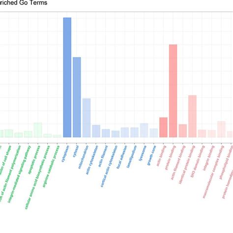 Ontological Analysis Of The Deps Classification Of The Deps Based On