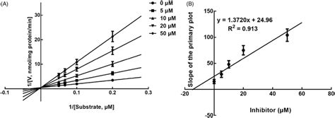 Lineweaver Burk Plots A And The Secondary Plot For Ki B Of Download Scientific Diagram