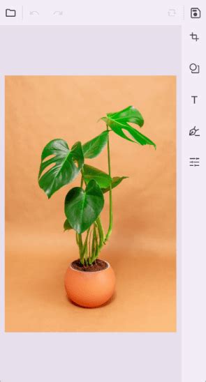 toolbar customization in maui image editor control syncfusion