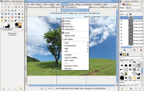 Nicus How To Custom Grids With Gimp
