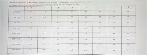 what is the total difference in alleles at snp 1 in