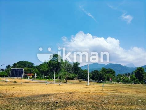 බිම් කොටස් කුරුවිට පැරඩයිස් හන්දියෙන්ම Ikman