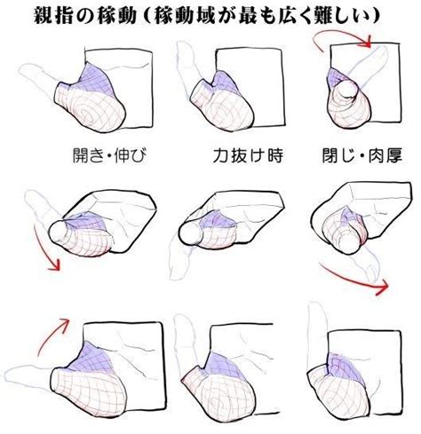 Pin By On Drawing Anatomy Stances Clothing Hand Drawing Reference Drawing Tips Anatomy