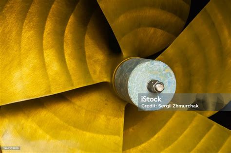 중앙에 아연 부식 방지 기능이 있는 5날 선박 프로펠러 클로즈업 0명에 대한 스톡 사진 및 기타 이미지 0명 건조한 고물