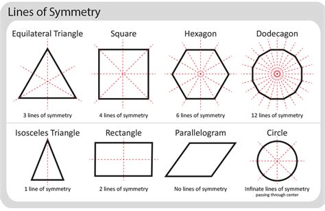 Lines Of Symmetry Chart