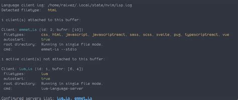 emmet ls issues neovim lua mason r nvim