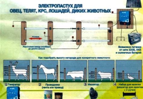 Электропастух своими руками для овец, коров, коз: схема из катушки ...