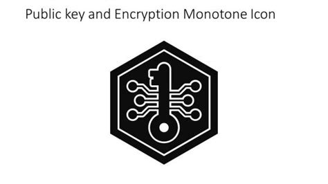 encryption public key icon powerpoint presentation and slides ppt