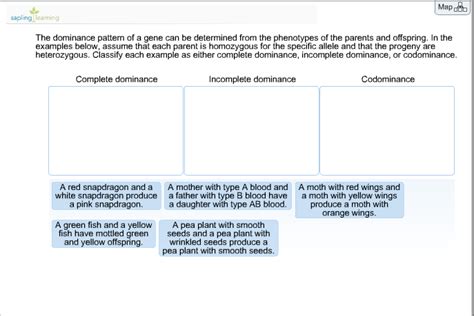 Solved Map Pling The Dominance Pattern Of A Gene Can Be Chegg Com