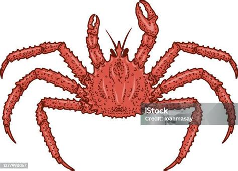 조각 스타일로 게의 그림 엠블럼 기호 포스터 카드 배너를 위한 디자인 요소 벡터 일러스트레이션 갈고리 발톱에 대한 스톡 벡터