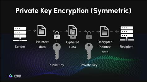 What Is A Private Key In Crypto How To Protect Private Key