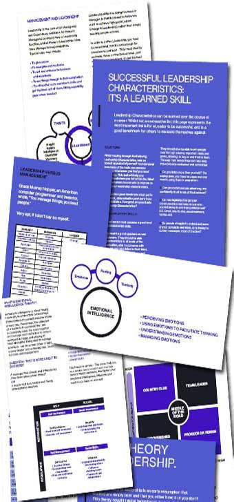 Array Leadership Blueprint Educational Business Articles