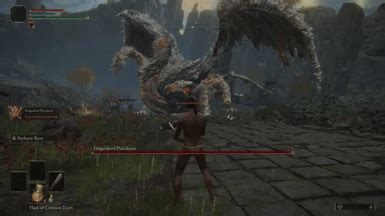 Boss Spirit Summons With 1 And 2 Phases Boss Bgm Boss Health Bar