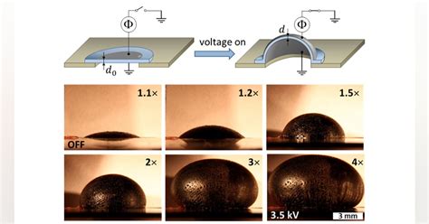 Freestanding Dielectric Elastomers Offer New Capabilities In Actuation Soft Robotics Machine