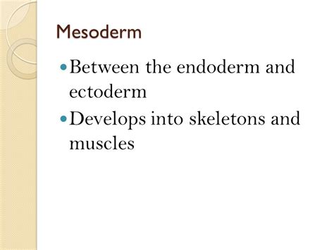 INVERTEBRATES Ch Ppt Video Online Download