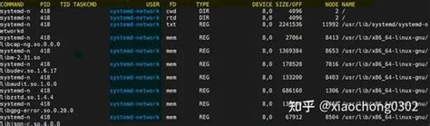 我不是网管 通过18个实例掌握 Lsof 命令 知乎