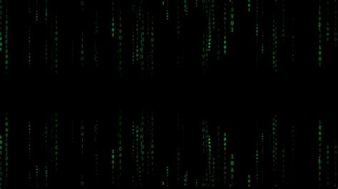 Coding Animation With Falling Numbers Full Stock Motion Graphics Sbv