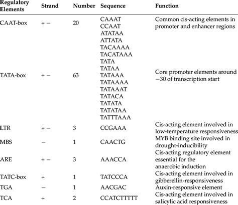 Cis Regulatory Elements In The Promoter Of Mstert Gene Download Scientific Diagram