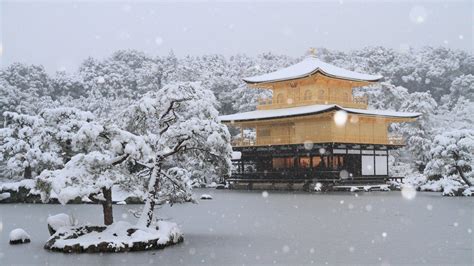 Japanese Winter Wallpapers Top Free Japanese Winter Backgrounds
