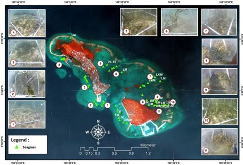 Plot Location On Seagrass Class In Lancang Island Download