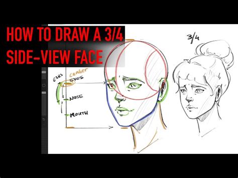 How To Draw A Realistic Face On Procreate