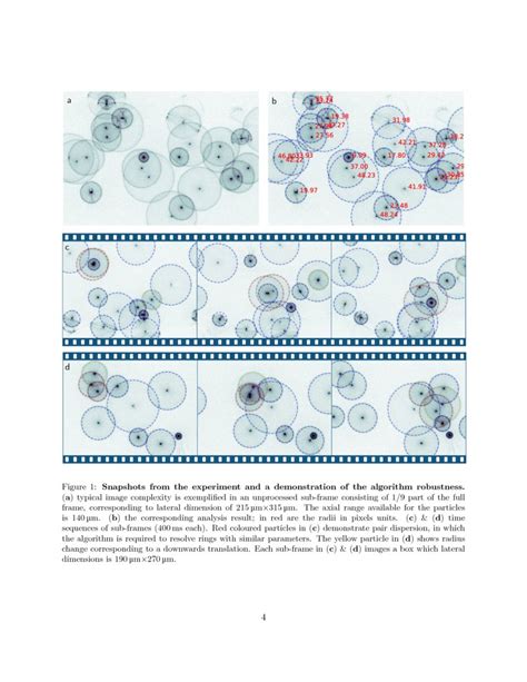 Robust And Highly Performant Ring Detection Algorithm For 3d Particle