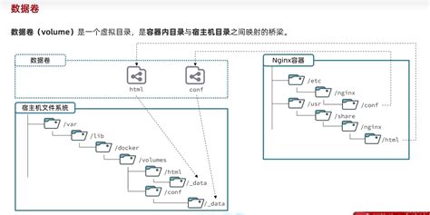docker中数据卷volume学习笔记 csdn博客
