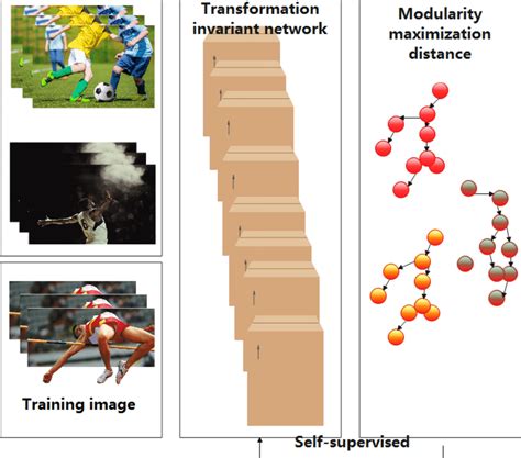 self supervised topology clustering network structure download