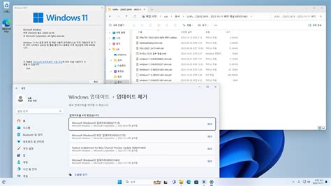 윈도우 포럼 설치 사용기 Windows 11 22635 빌드 베타 채널 확인 테스트