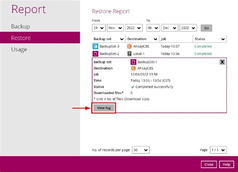 V9 Restore Report Overview For Ahsayobm Ahsay Backup