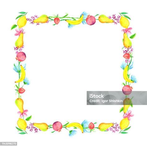 과일과 꽃과 사각형 밝은 프레임 수채화 손으로 그림을 그렸다 엽서와 인사말 카드 개체 그룹에 대한 스톡 벡터 아트 및 기타 이미지 개체 그룹 건강한 생활방식 과일