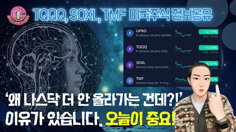 ‘왜 나스닥 더 안 올라가는 건데 이유가 있습니다 오늘이 중요 Tqqq Soxl Tmf 미국주식 정보공유 Youtube
