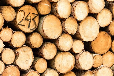 Log Prices Spurring Recovery In Regional NZ BusinessDesk