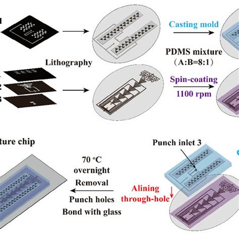 Fabrication Process Of The 3d Circulating Tumor Cell Ctc Capture Chip Download Scientific