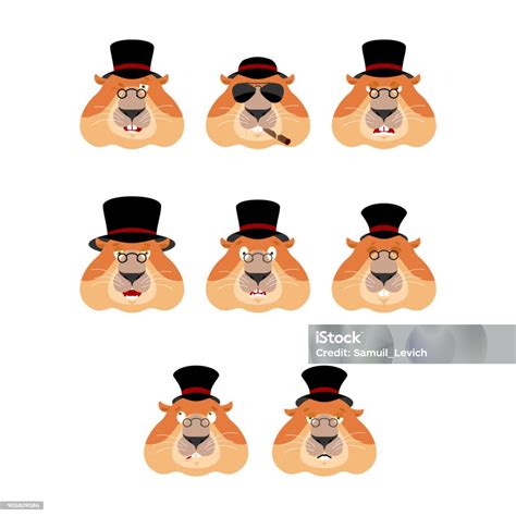 마모의 날입니다 모자에 마모 Emoji 아바타를 설정합니다 슬 프 고 화난 얼굴입니다 죄 책 감을 하 고 자 고 마 자 고 감정 얼굴입니다 마 모트 가지입니다 벡터 일러스트