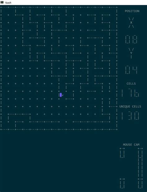 Micromouse Simulator