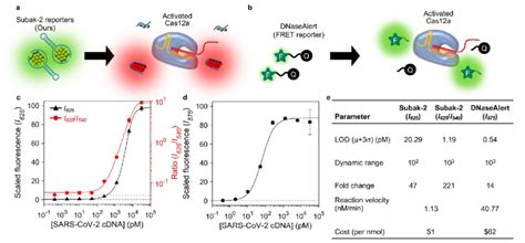 Subak 2 Combined In The Detectr Assay Detects Synthetic Sars Cov 2 Cdna