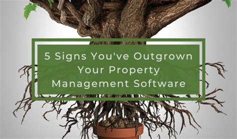 5 Signs You Ve Outgrown Your Property Management Software