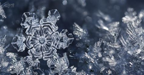 15 Examples Of Maths Patterns In Nature That Will Stun You