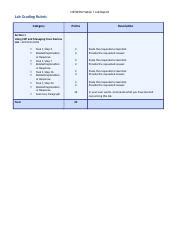 NETW Week Lab Report NETW Week Lab Report Lab Grading Rubric Category Points